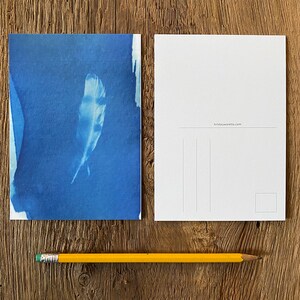 Cyanotype Postcard Multipack - Etsy