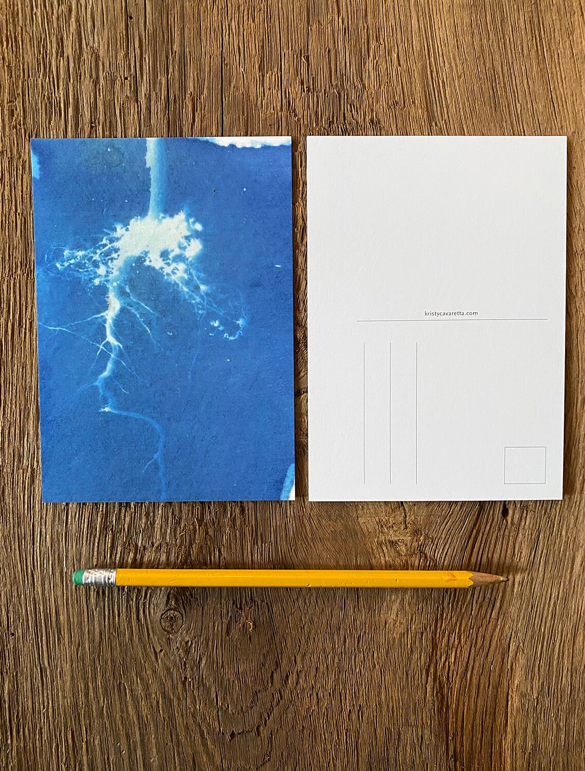 Cyanotype Postcard Multipack - Etsy