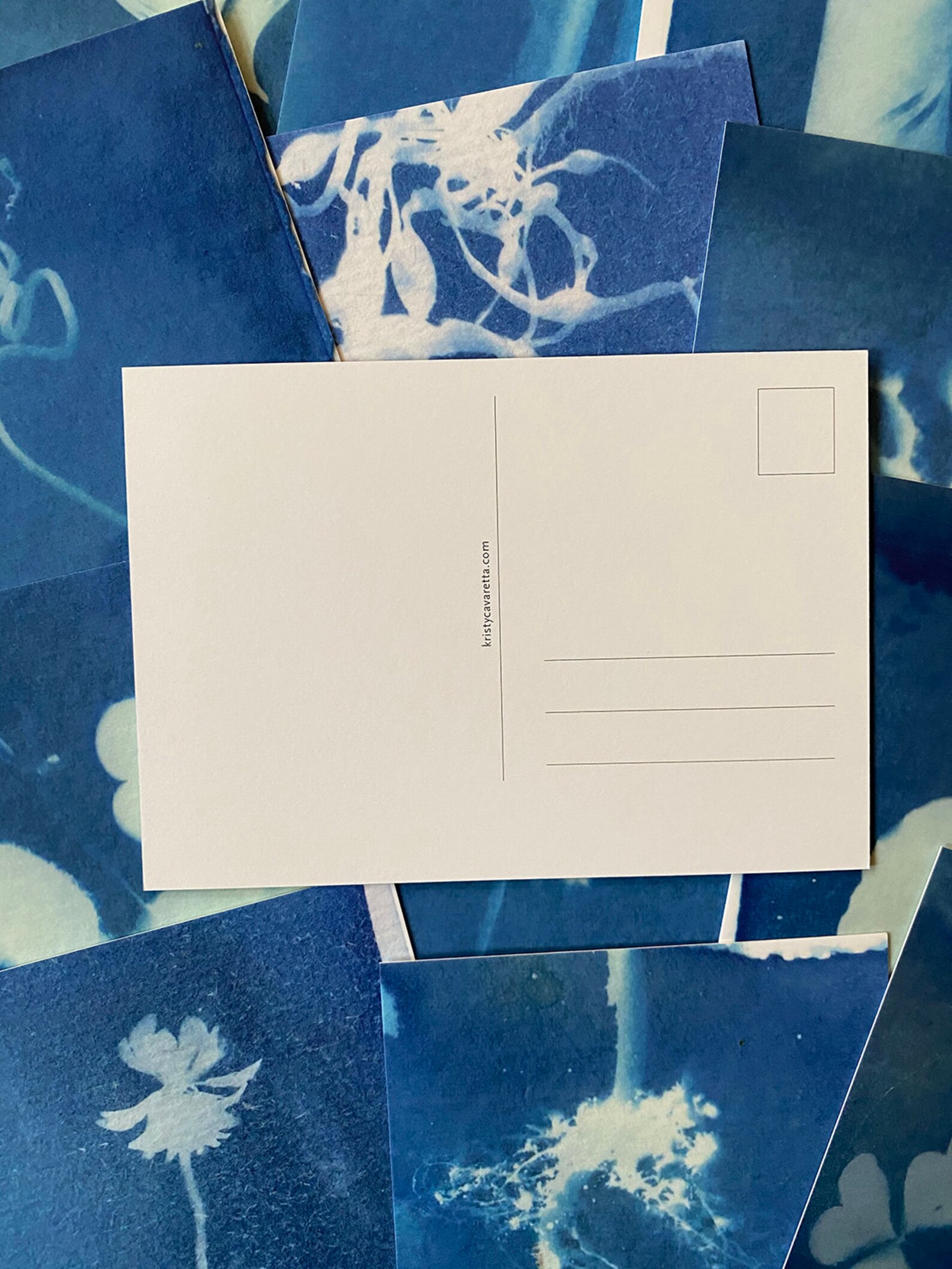 Cyanotype Postcard Multipack - Etsy