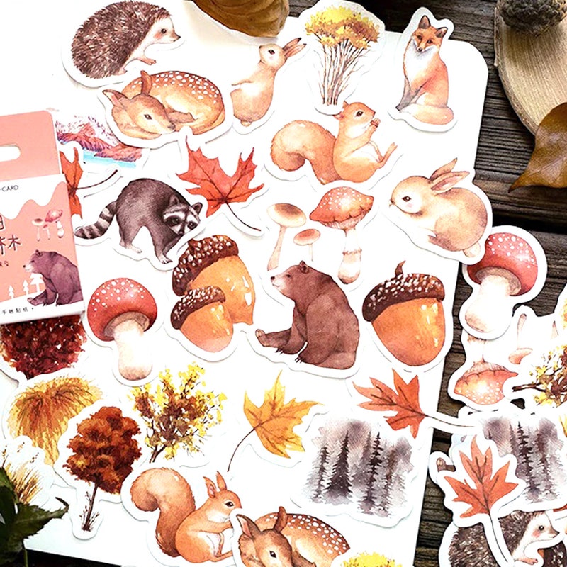 Nature Decorations - Etsy