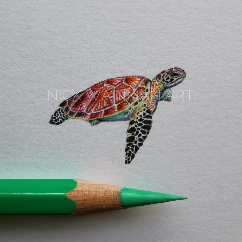 Turtle Print, Miniature Art, Pencil Drawing, Miniature Art, Turtle ...