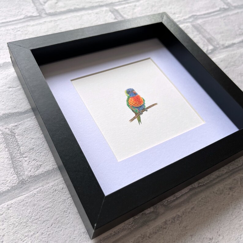 Rainbow Lorikeet, Original Drawing, Miniature Drawing, Bird Art ...