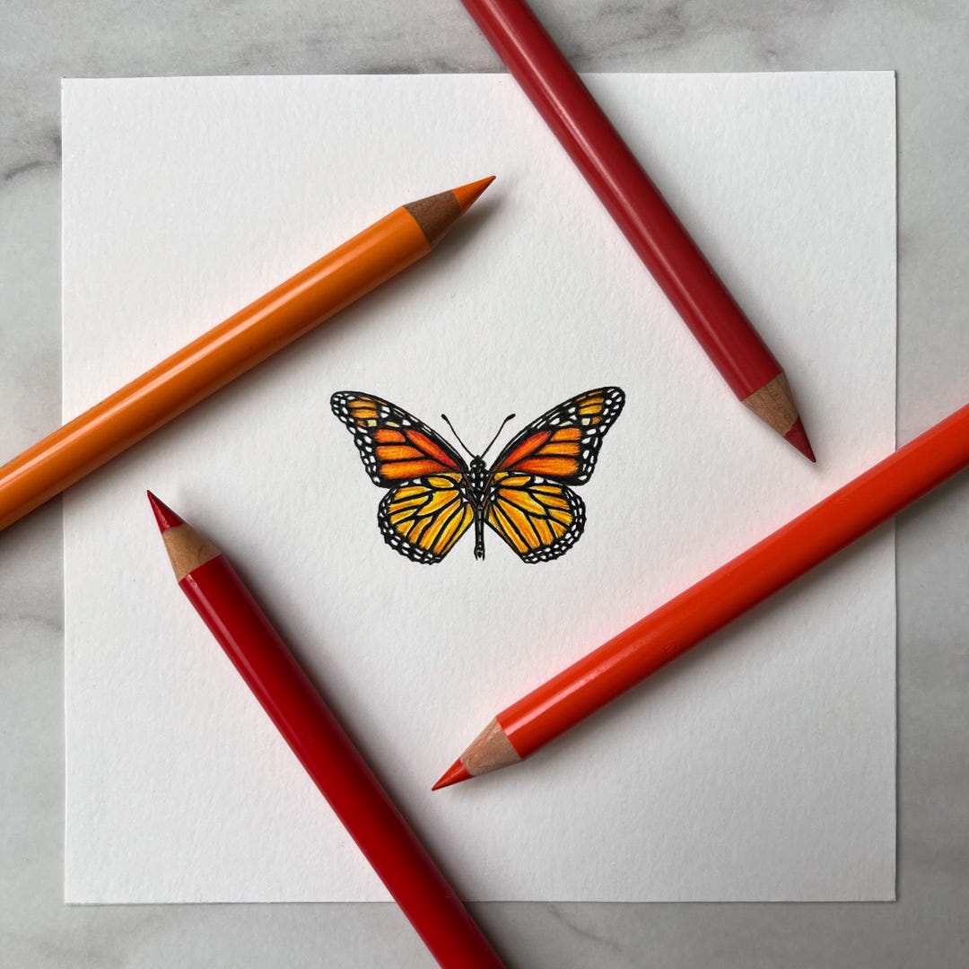 Monarch Butterfly Framed Original Miniature Drawing, Handmade Tiny ...