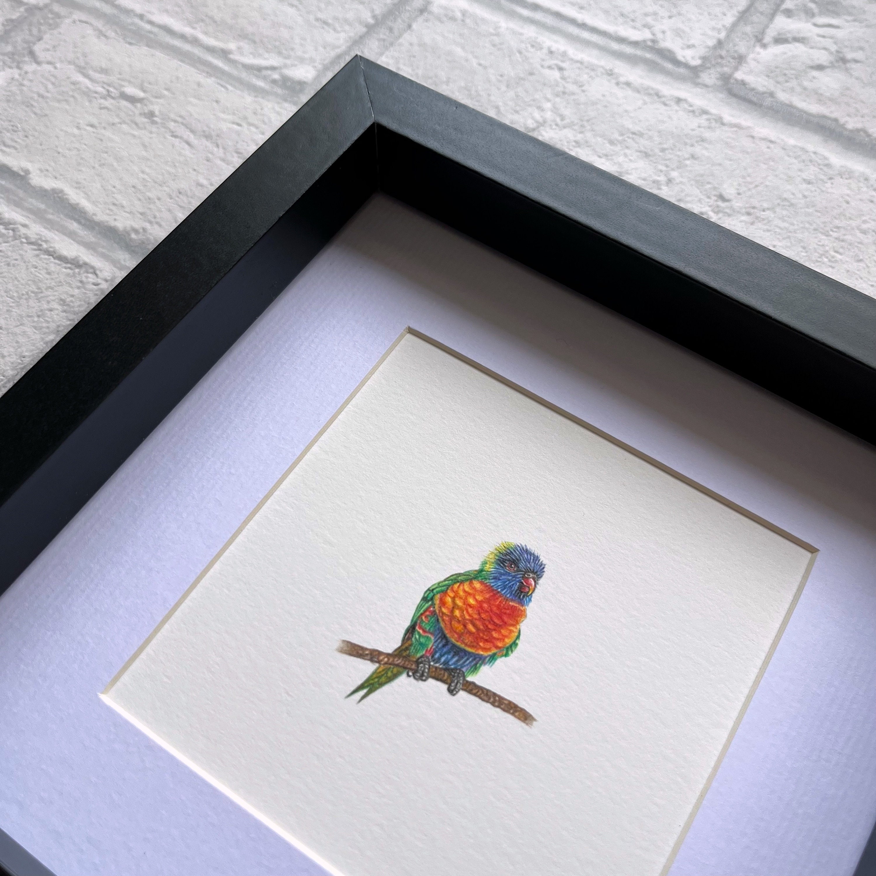 Rainbow Lorikeet, Original Drawing, Miniature Drawing, Bird Art ...