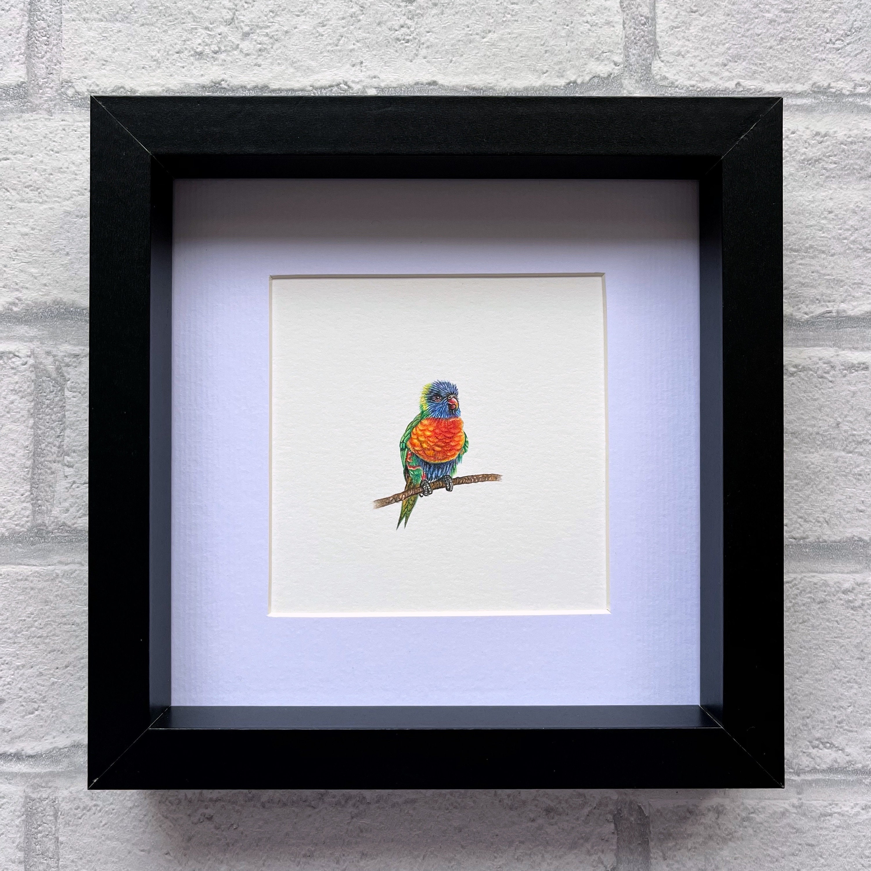 Rainbow Lorikeet, Original Drawing, Miniature Drawing, Bird Art ...