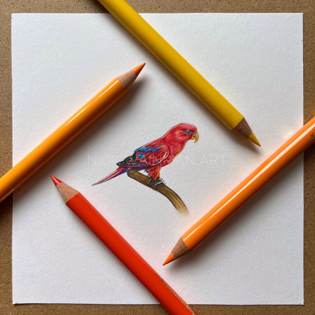 Red Lory, Original Drawing, Miniature Drawing, Bird Art, Parakeet ...
