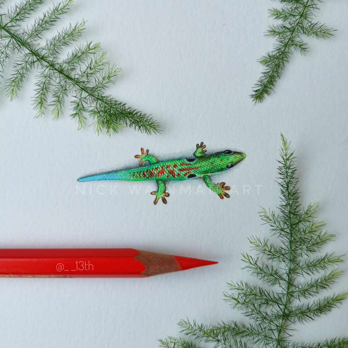 Gecko Original Framed Drawing, Miniature Art, Gecko Wall Art, Reptile ...