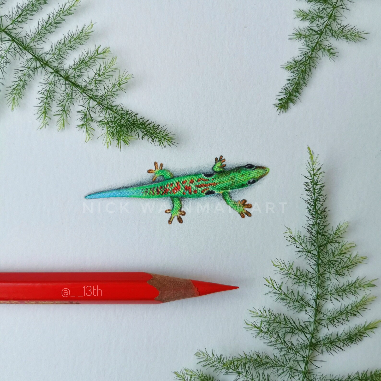 Gecko Original Framed Drawing, Miniature Art, Gecko Wall Art, Reptile ...