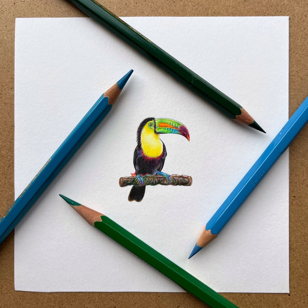Keel Billed Toucan, Original Drawing, Miniature Drawing, Bird Art ...