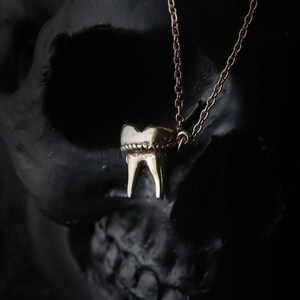 A Tooth - Three Roots - Charm Necklace - Brass Version by Defy - Etsy