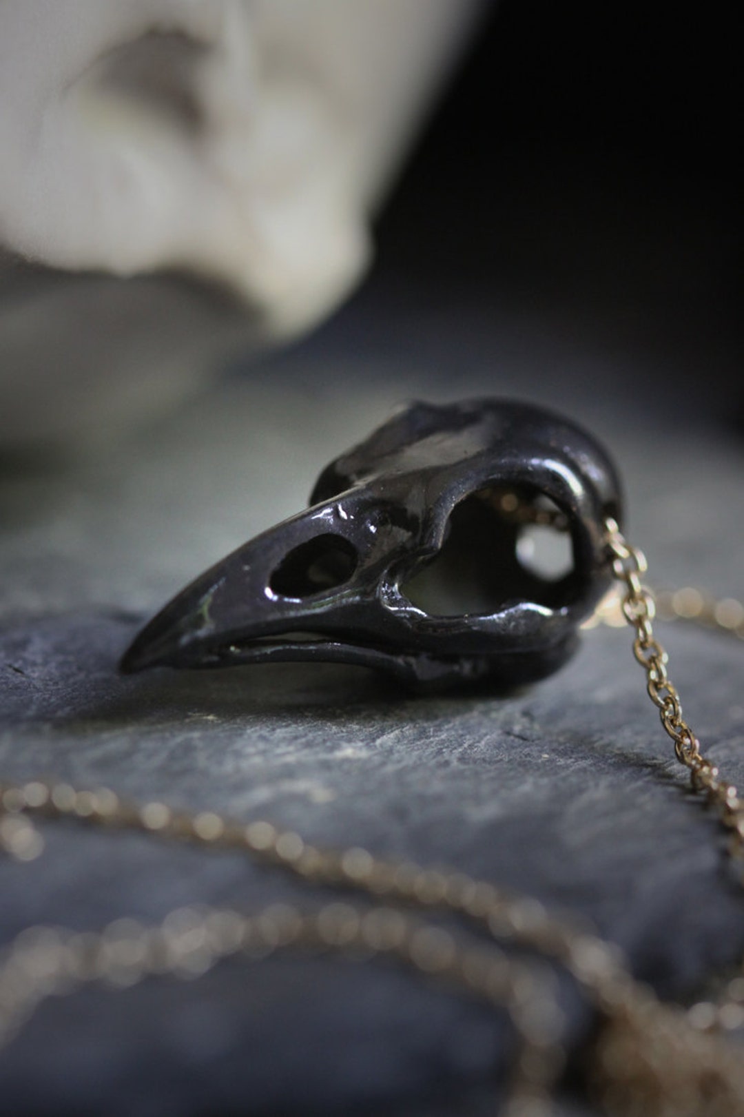 Raven Skull Necklace - Black Version by Defy , Anatomical Animal Skull ...