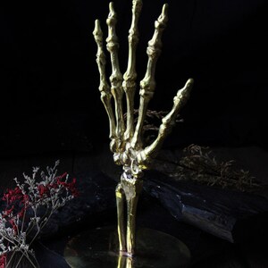 V.3 the Hand Skeleton Home Decoration and Jewelry Display.normal Brass ...