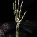 V.3 the Hand Skeleton Home Decoration and Jewelry - Etsy