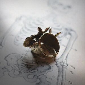 Backbone Ring,anatomy Ring,anatomy Jewelry,charm Ring,golden Backbone ...