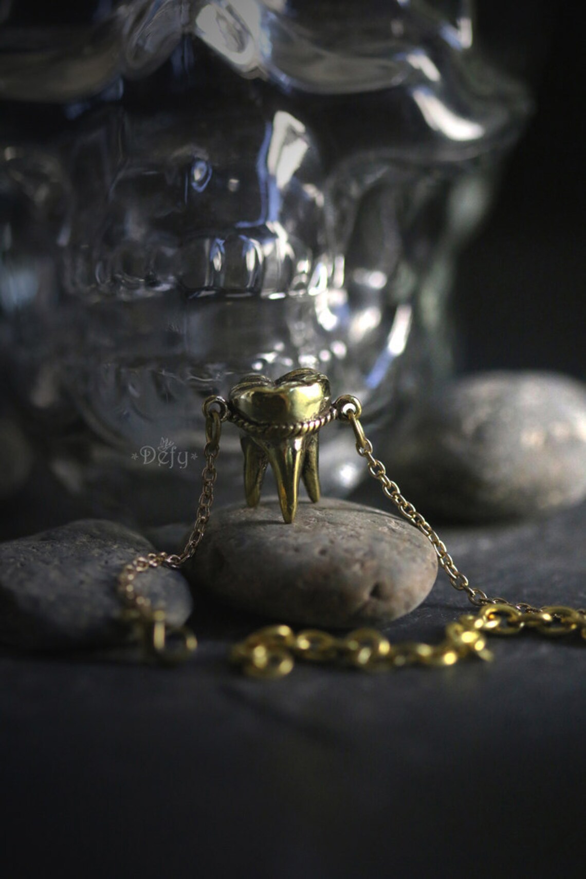 Human Tooth Bracelet with three fangs by Defy / Adjustable | Etsy