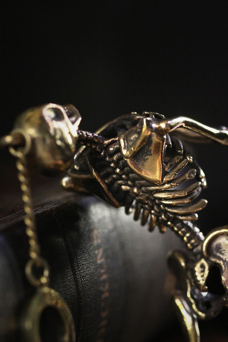 Skeleton Bracelet/anatomical Jewelry/human Bone/anatomy Human/handcuff ...
