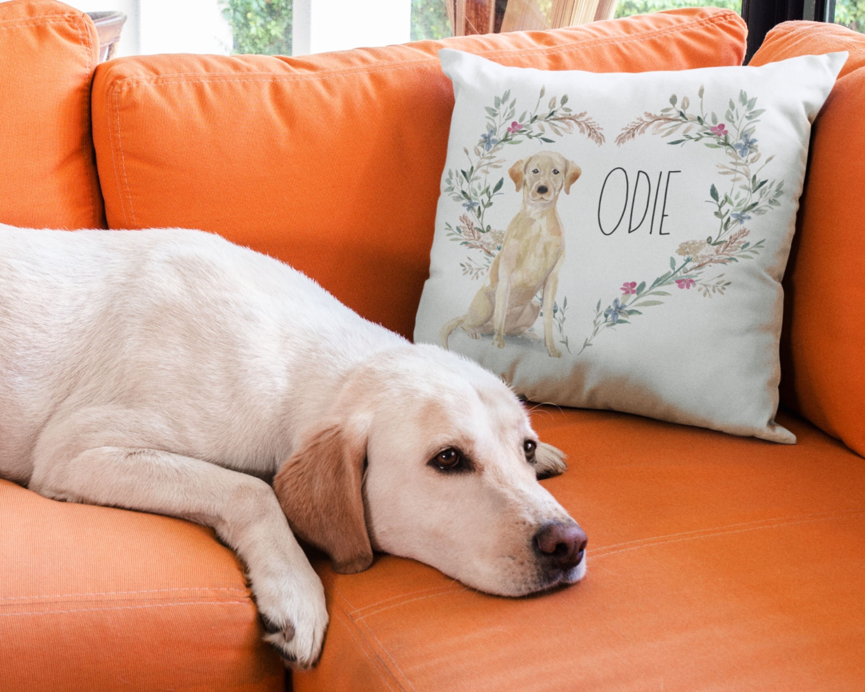 Personalized Yellow Labrador Pillow cover Custom pet pillow - Etsy.de