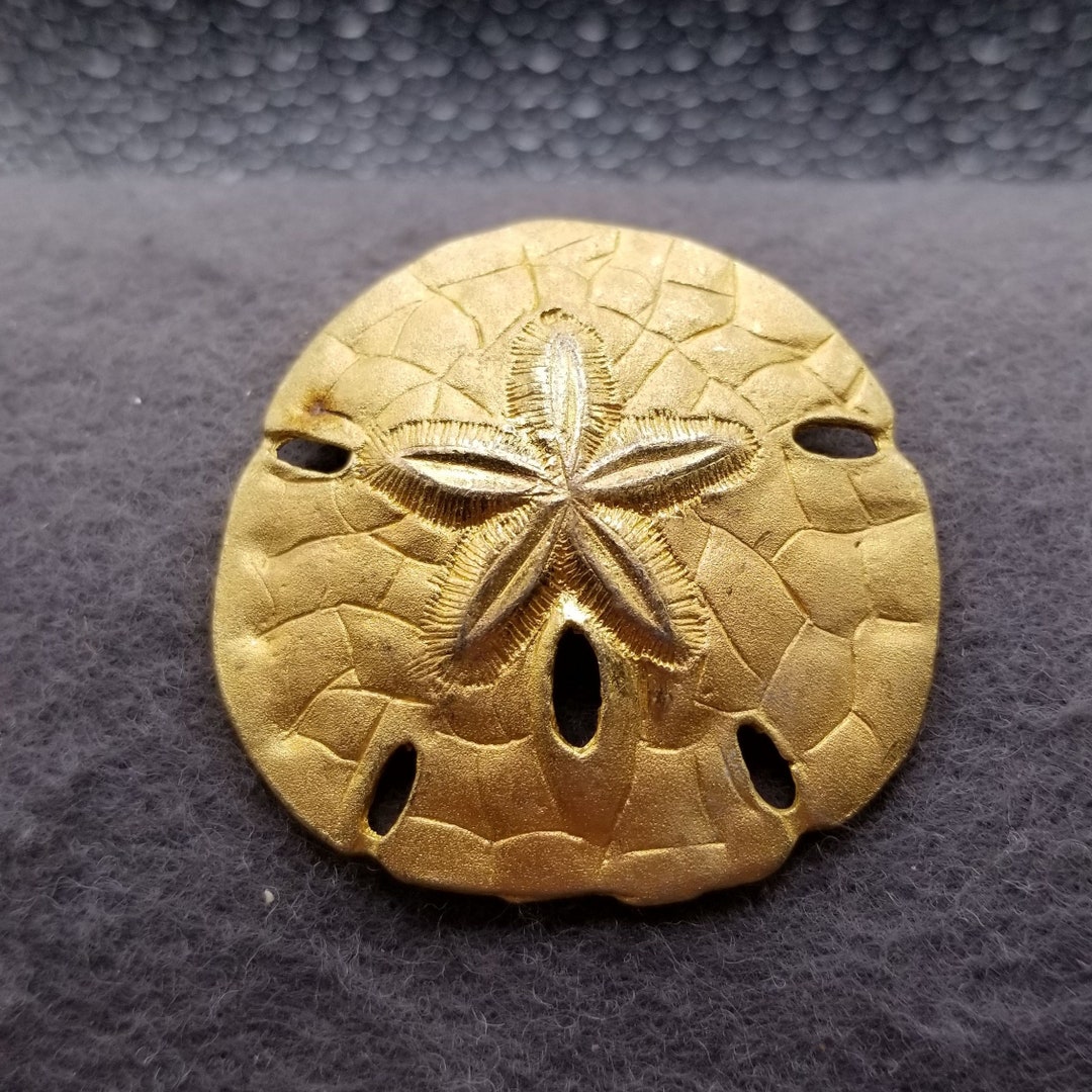 Large Vintage Gold Tone Sand Dollar Pin/brooch 3808 - Etsy