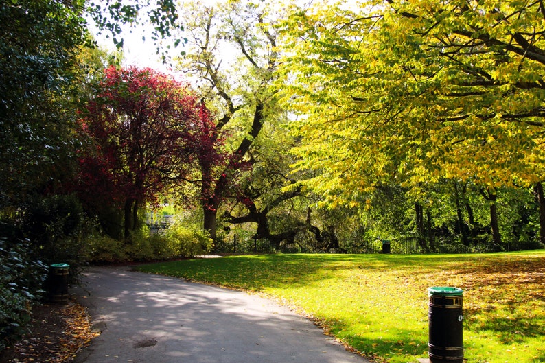 Fall in Park London England United Kingdom Autumn Print - Etsy