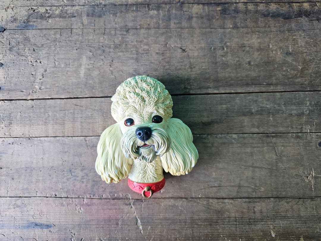 1960s Bossons Chalkware Poodle Head White Wall Hanging - Etsy