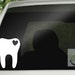 Molar Decal Tooth Decal Dental Assistant Dental Hygienist | Etsy