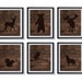 Rustic Woodland Forest Animals Art Print Set Qty 6 Wall - Etsy