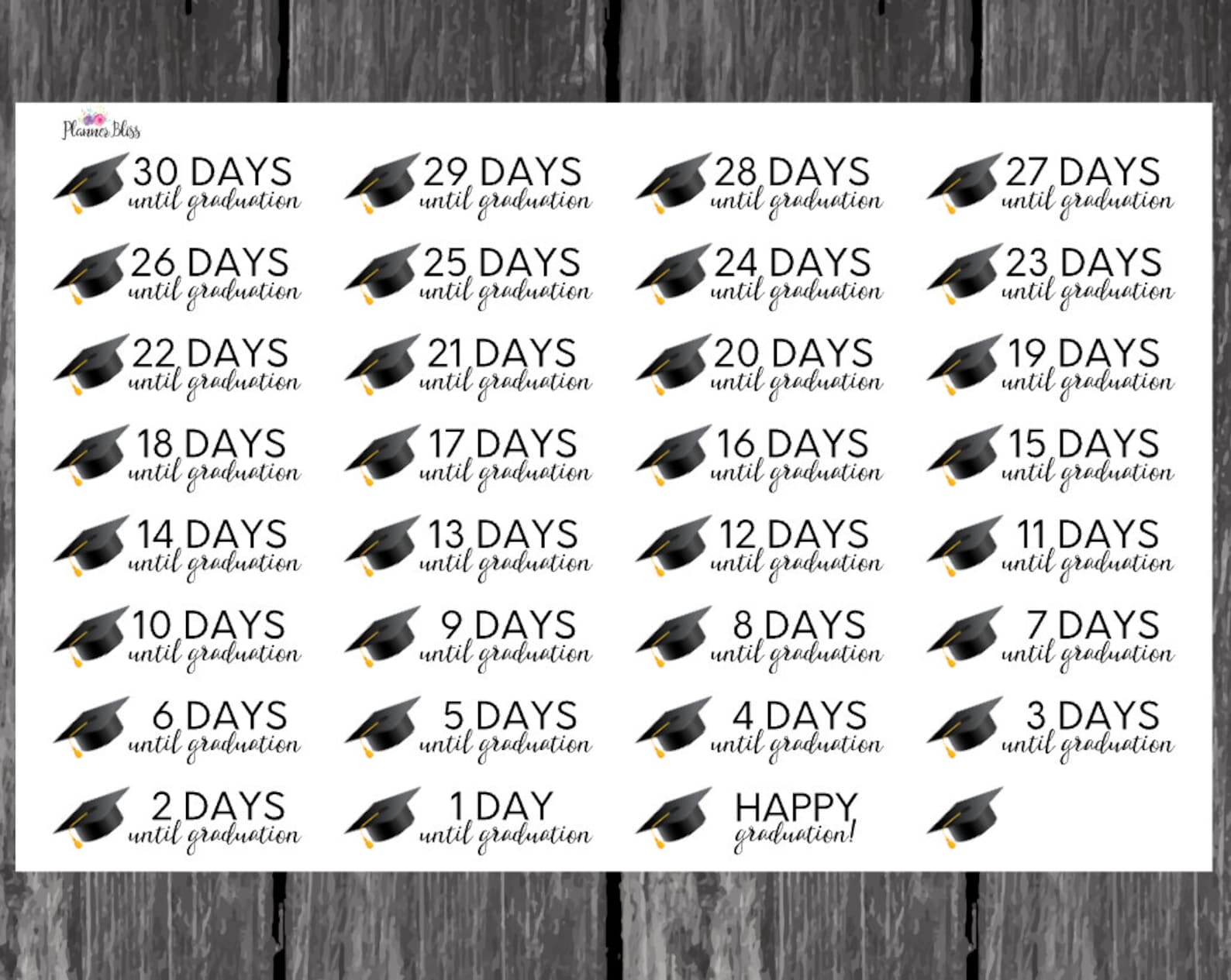 Graduation Countdown Planner Stickers Erin Condren Kikki K - Etsy