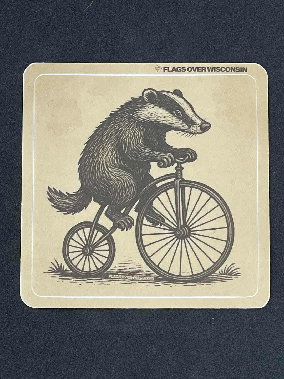 Badger Biker Vinyl Sticker | Vintage Wisconsin Badgers | Elroy Sparta ...