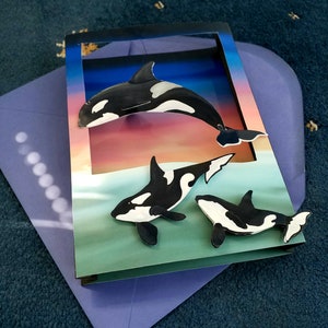Orca ~ Wild and Free Greeting Card (box Card) - Etsy