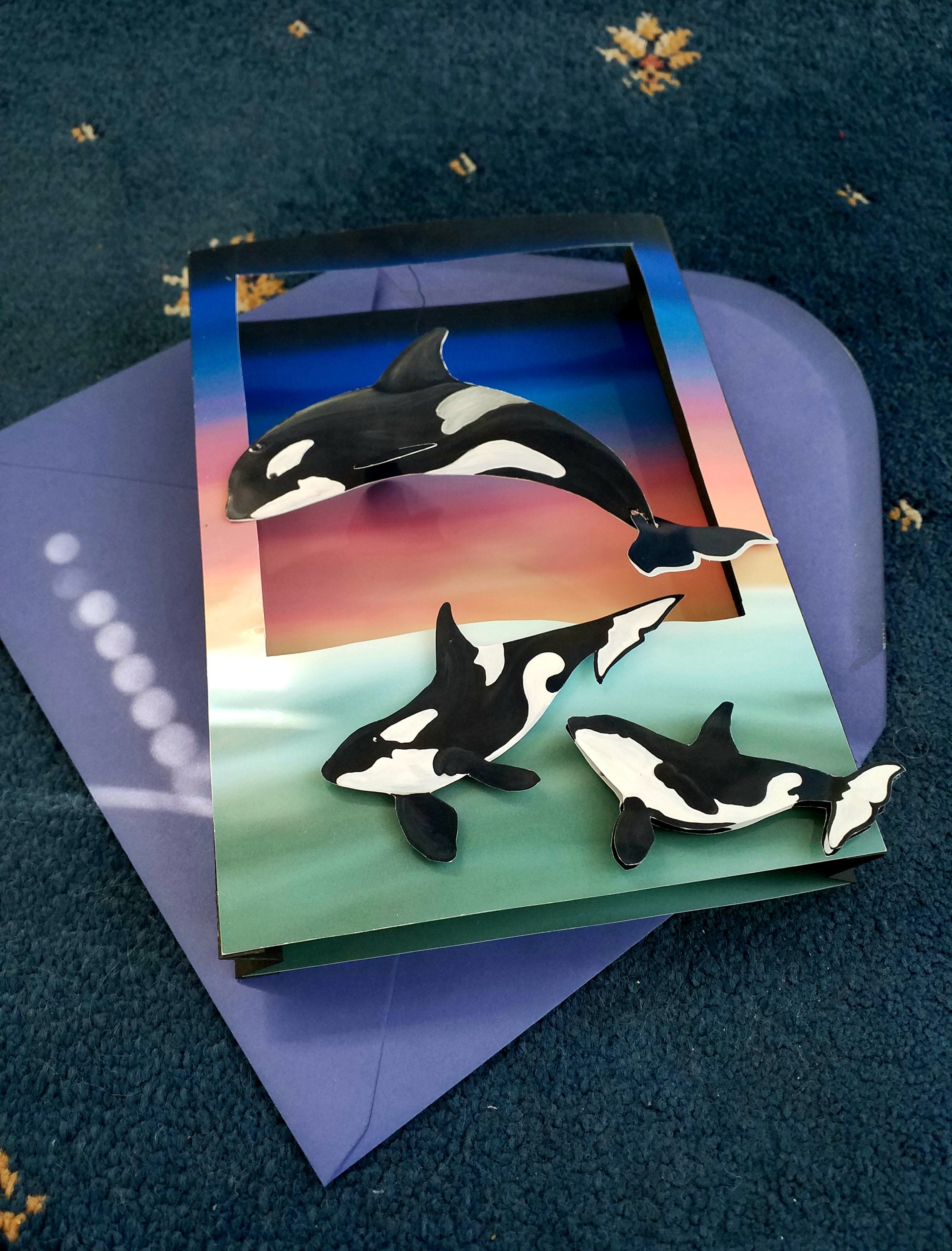 Orca ~ Wild and Free Greeting Card (box Card) - Etsy