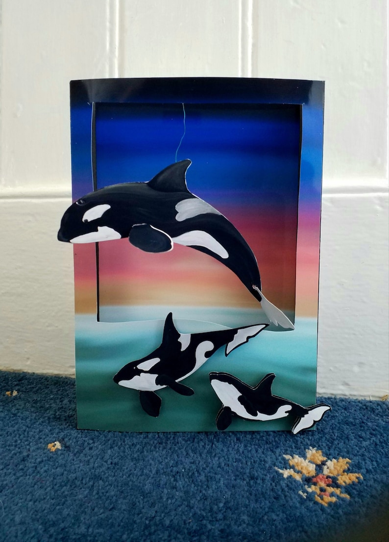 Orca ~ Wild and Free Greeting Card (box Card) - Etsy
