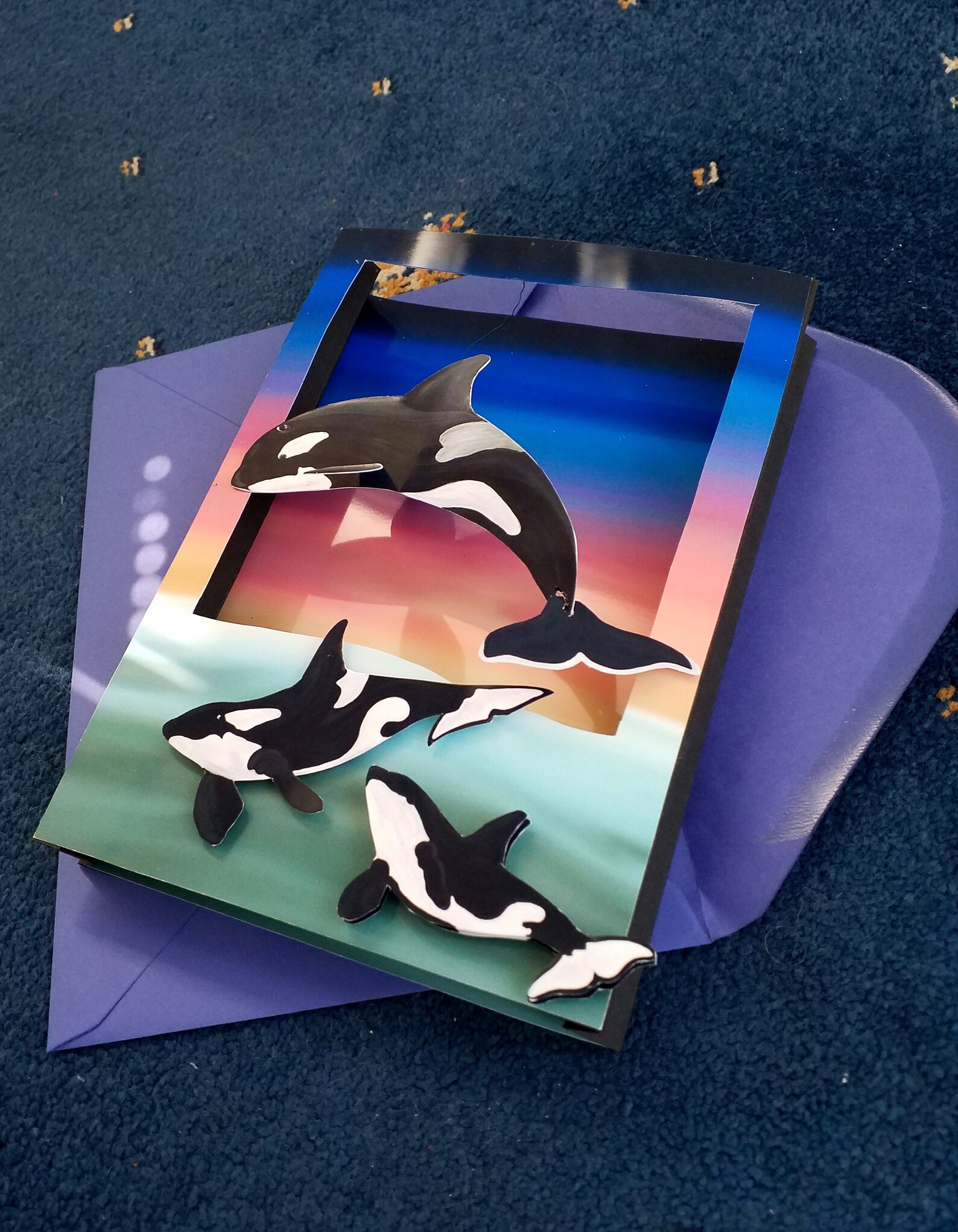 Orca ~ Wild and Free Greeting Card (box Card) - Etsy
