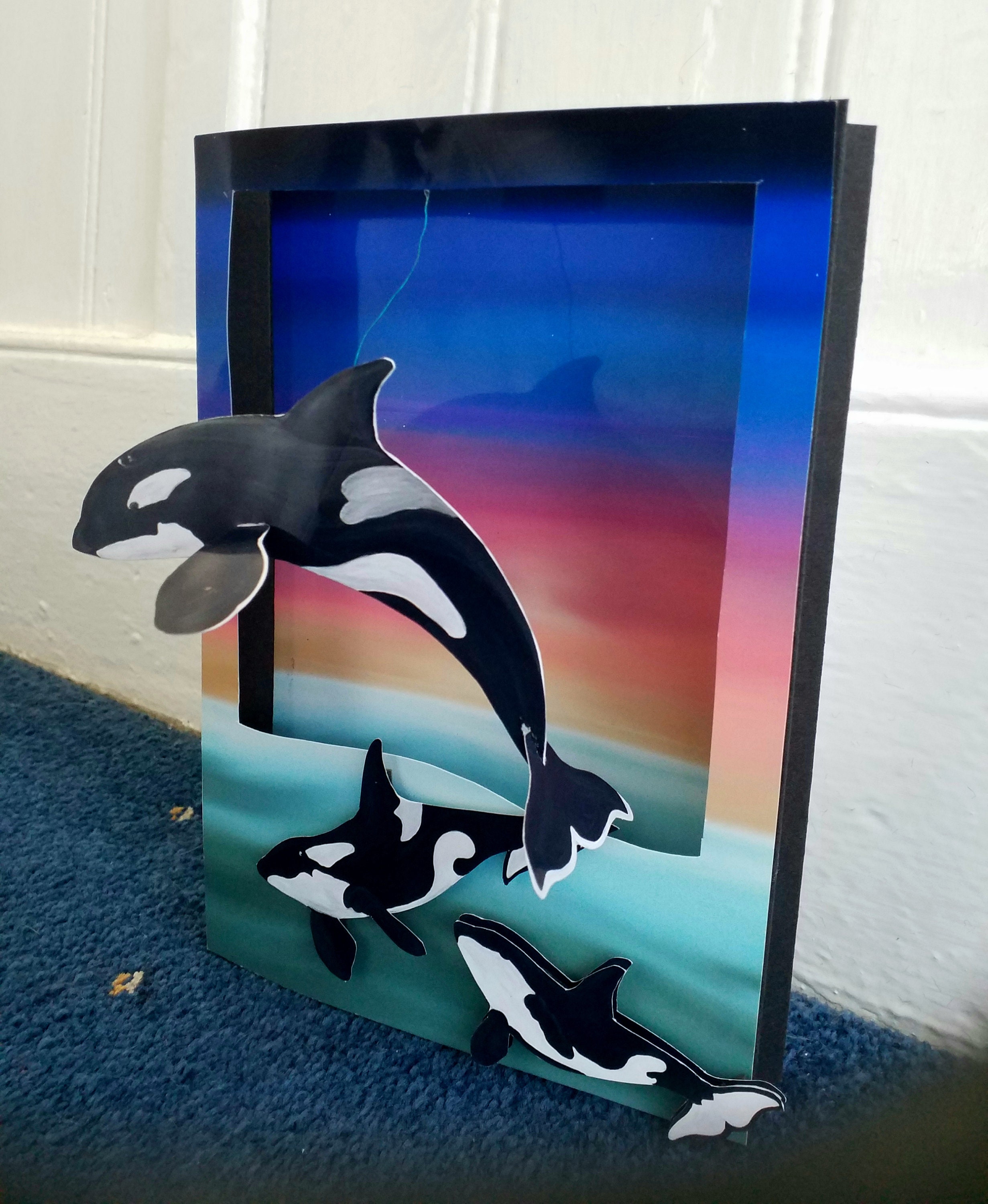 Orca ~ Wild and Free Greeting Card (box Card) - Etsy