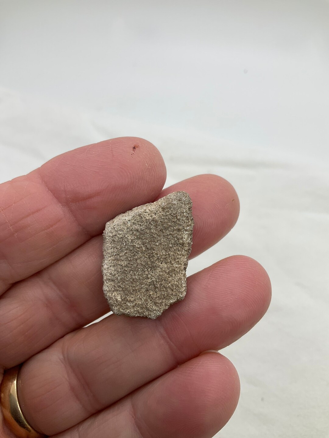 Dinosaur Eggshell Fossil Saltosaur Cretaceous Allen Formation Salta Rio ...