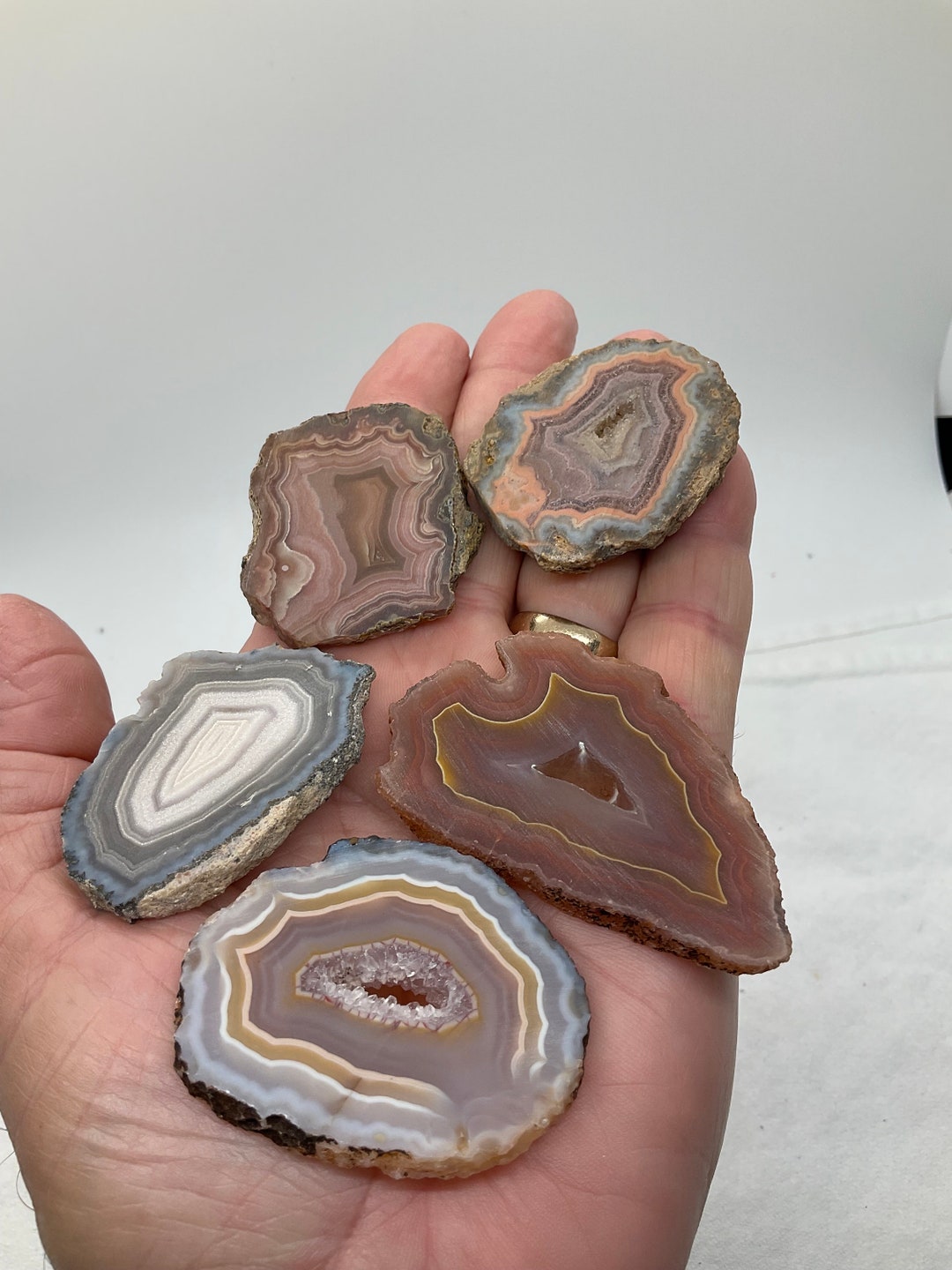 Agates Slabs Mexican Fortification Banding Colorful Translucent Laguna ...