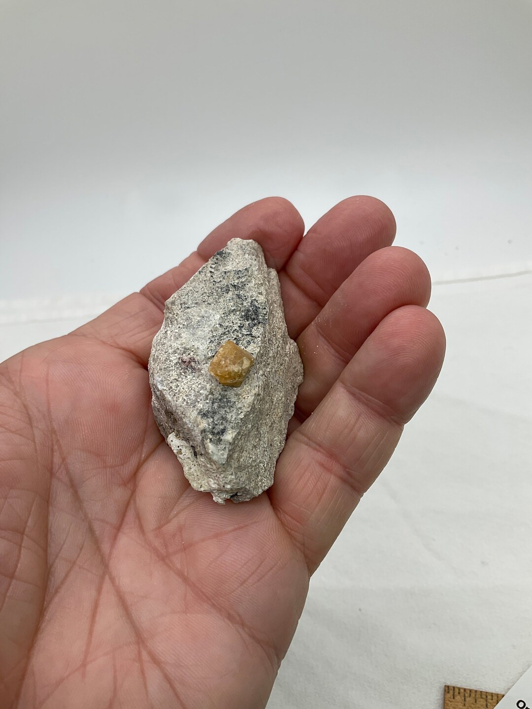 Scheelite Crystal Mineral Specimen Ortiz Mine Golden Old Placers ...