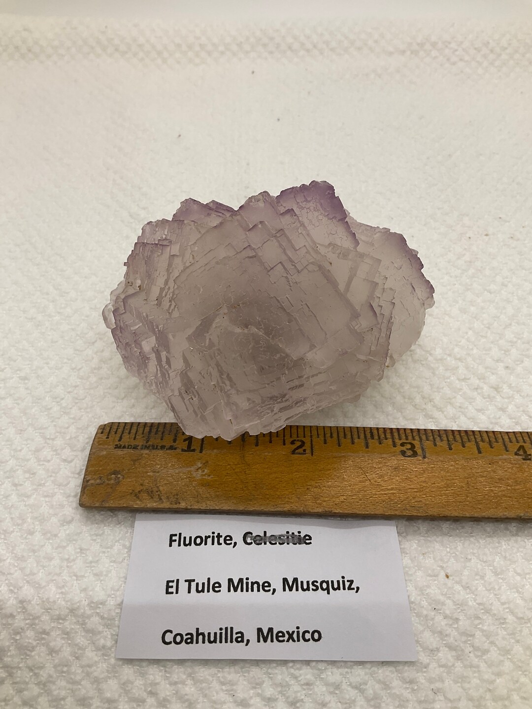Fluorite Crystals El Tule Mine Area Muzquiz Coahuila Mexico Mineral ...
