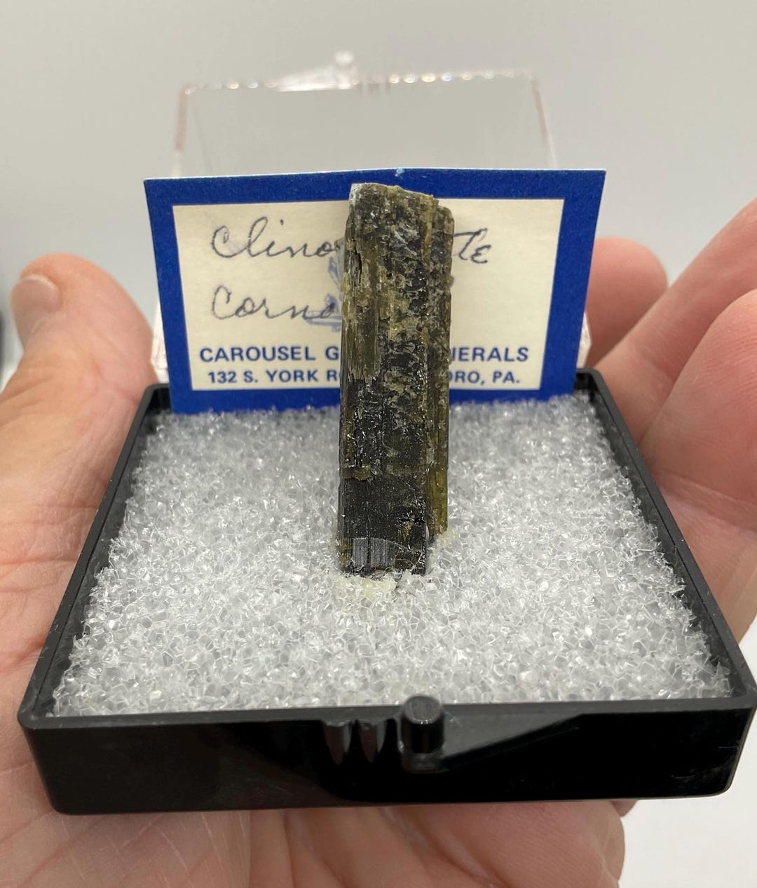 Clinozoisite Crystal Mineral Specimen Cornog Pennsylvania Estate ...
