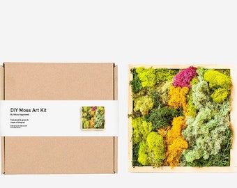 Moss Kit Diy - Etsy