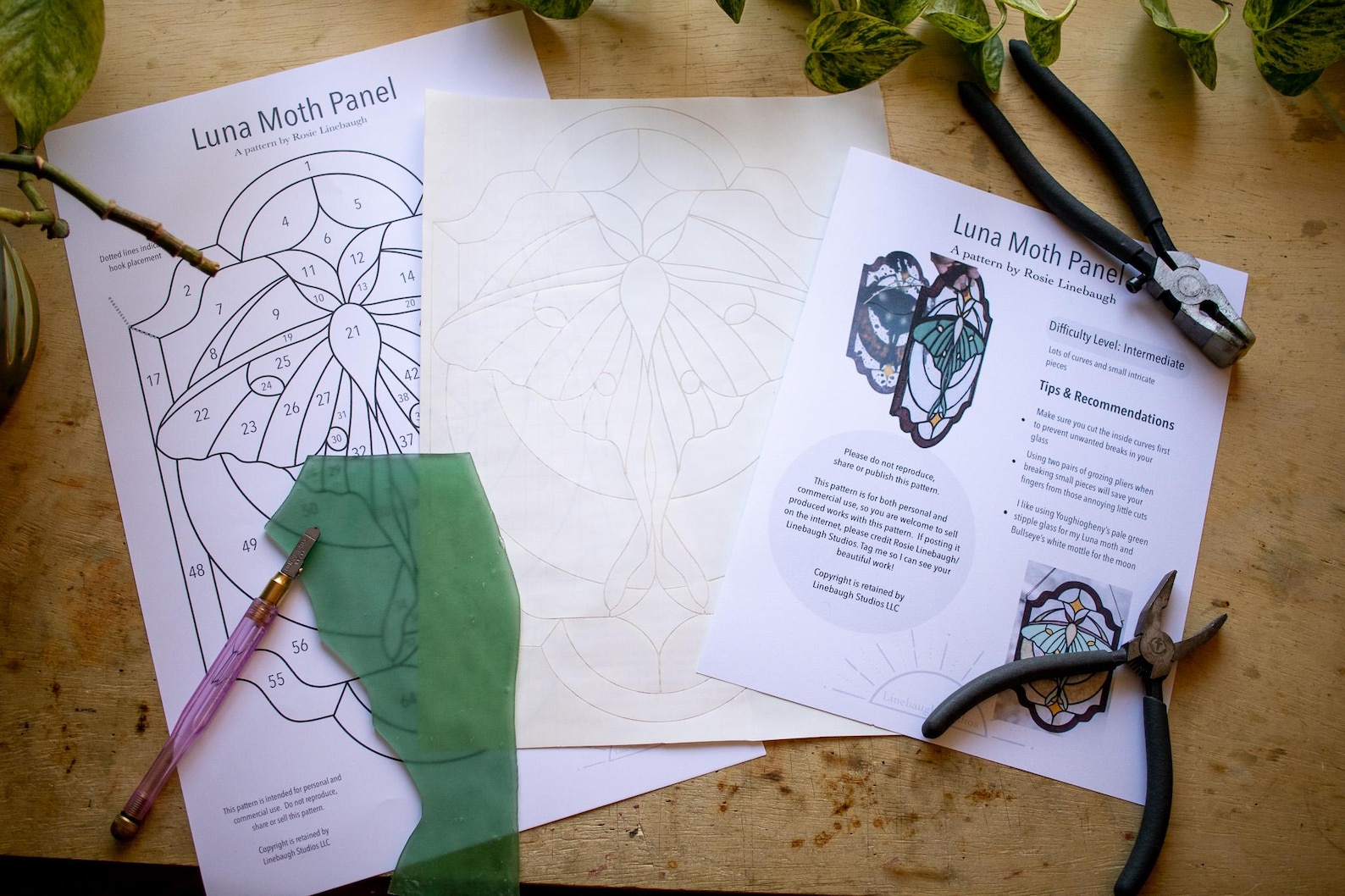 Digital Pattern Luna Moth Panel, Stained Glass Pattern Download, Luna ...