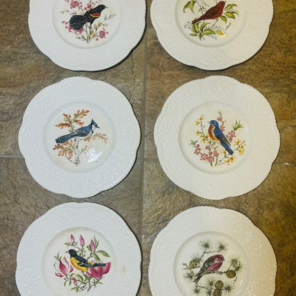 Antique Bird Plate - Etsy