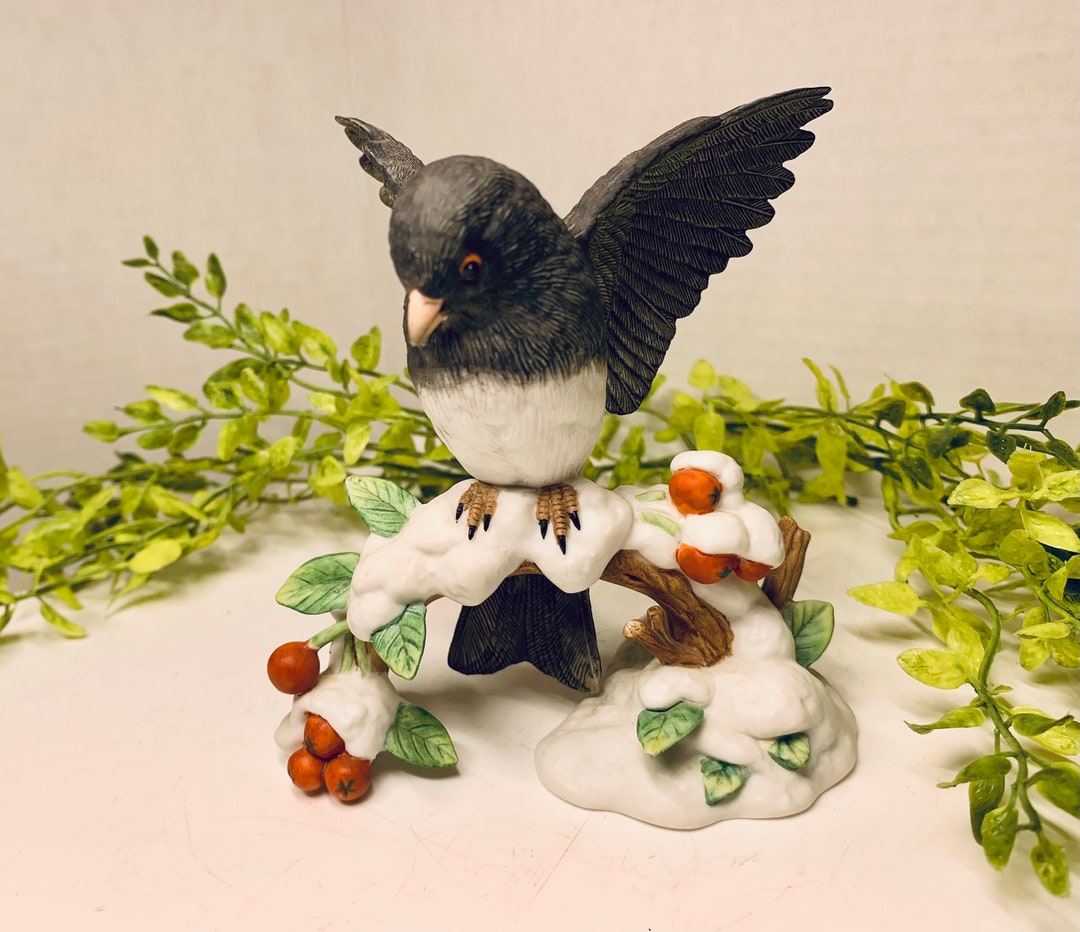 Vintage Lenox Porcelain Bird Dark-eyed Juno 1991 - Etsy