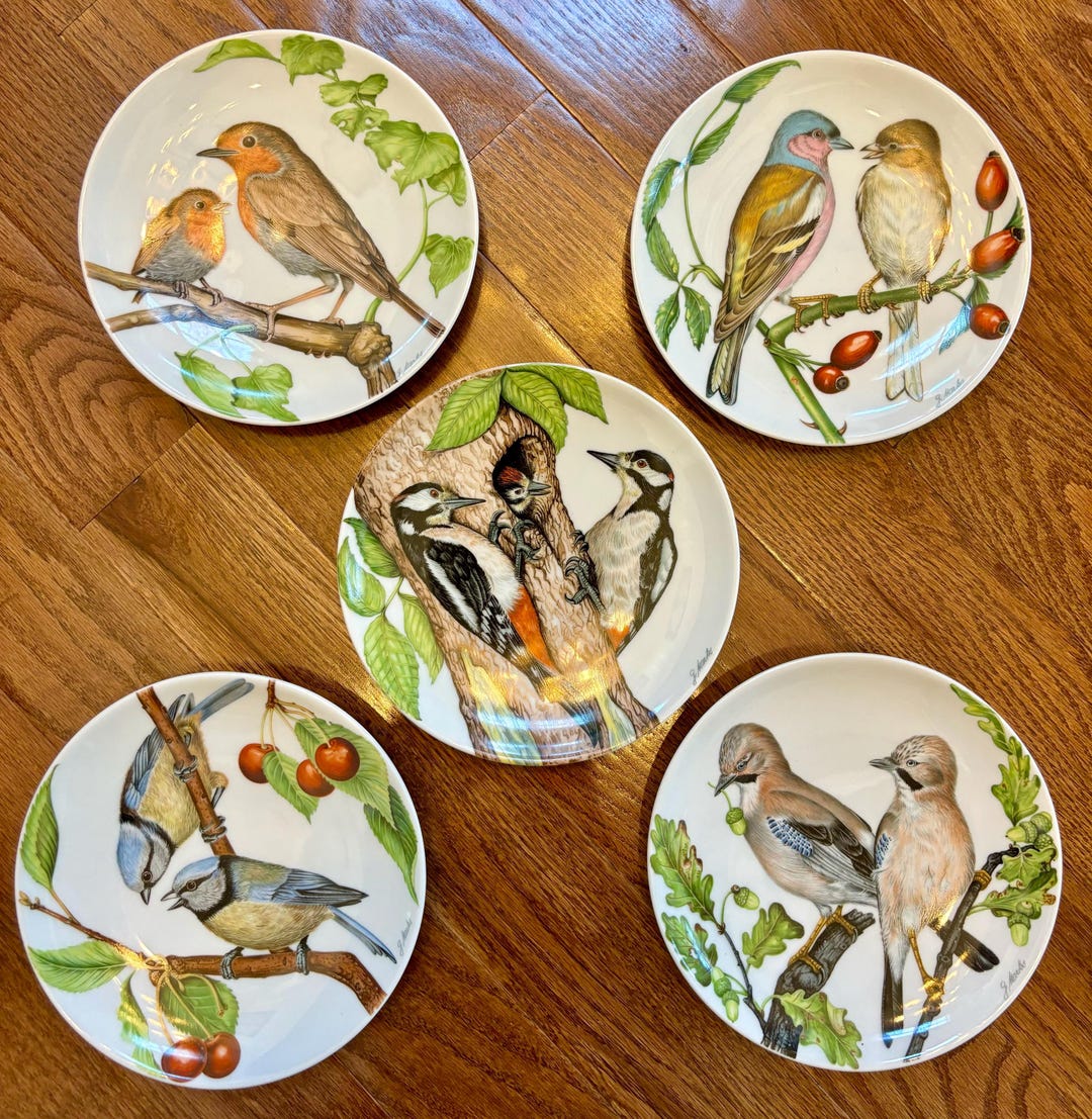 W. Goebel Rodental West German Set of 5 Vintage Porcelain Bird Plates ...