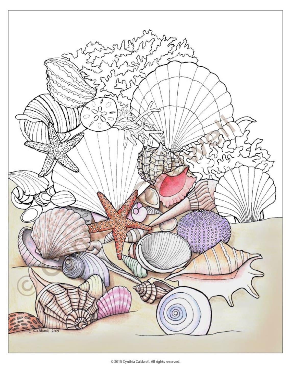 Seashells Coloring Page Instant Download - Etsy