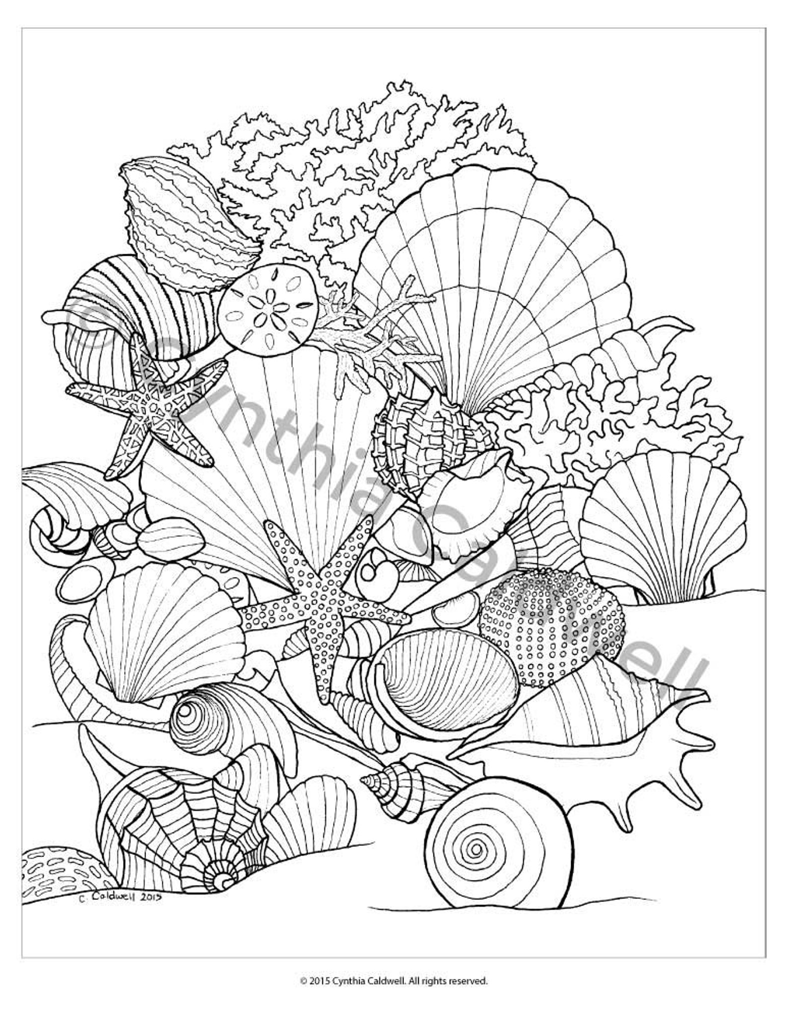 Seashells Coloring Page Instant Download - Etsy