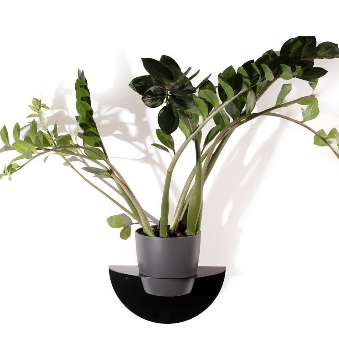 Wall Mounted Floating Plant Shelf - Etsy