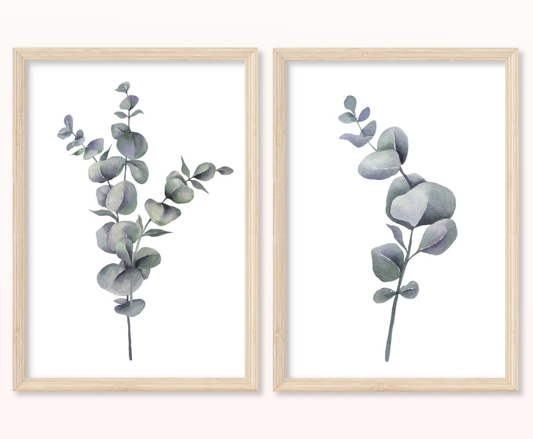 Eucalyptus POSTER DIN A5, A4 Art Print, Print, Mural, Flowers, Plants ...