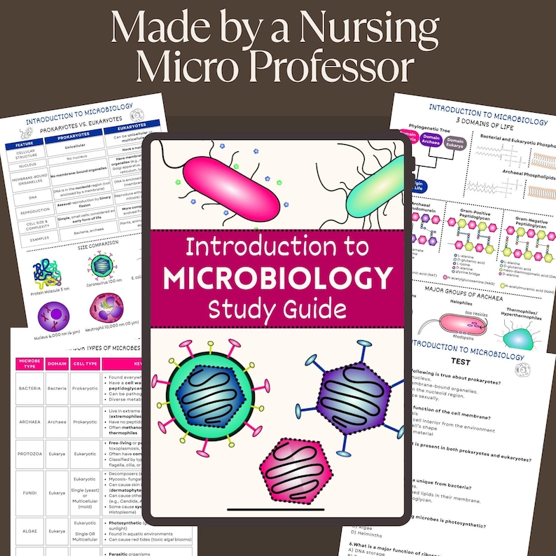 Nursing Microbiology Cheat Sheet Study Guide Introduction to Micro ...