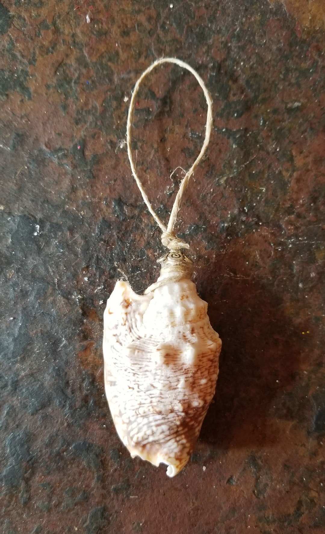Cool Handmade Seashell Ornament Christmas Ornament Beach - Etsy