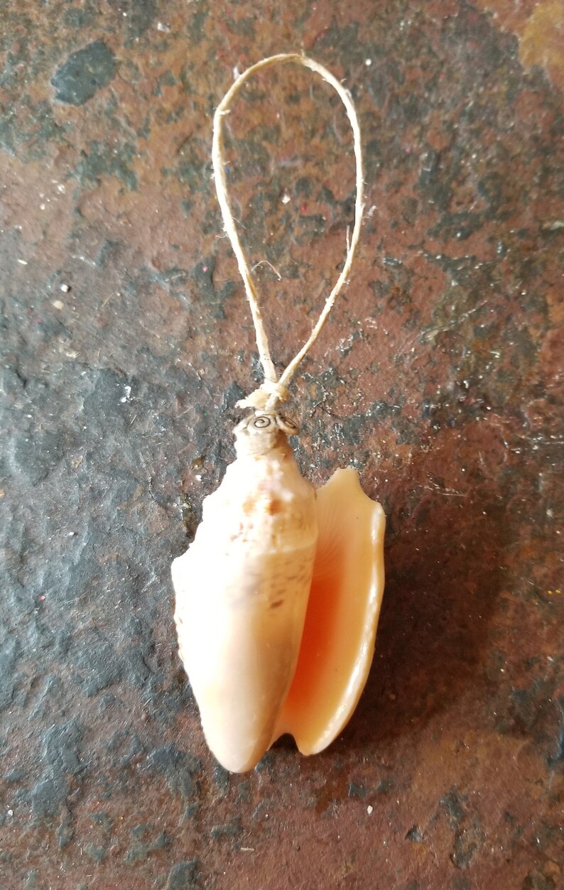 Cool Handmade Seashell Ornament Christmas Ornament Beach - Etsy